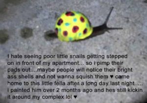 Pimping Out Snail's Shells to Prevent Them Getting Squashed | artFido