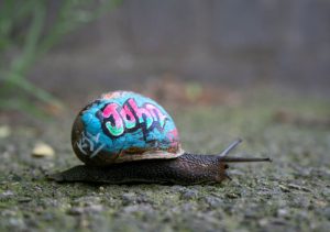Pimping Out Snail's Shells to Prevent Them Getting Squashed | artFido