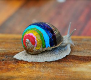 Pimping Out Snail's Shells to Prevent Them Getting Squashed | artFido