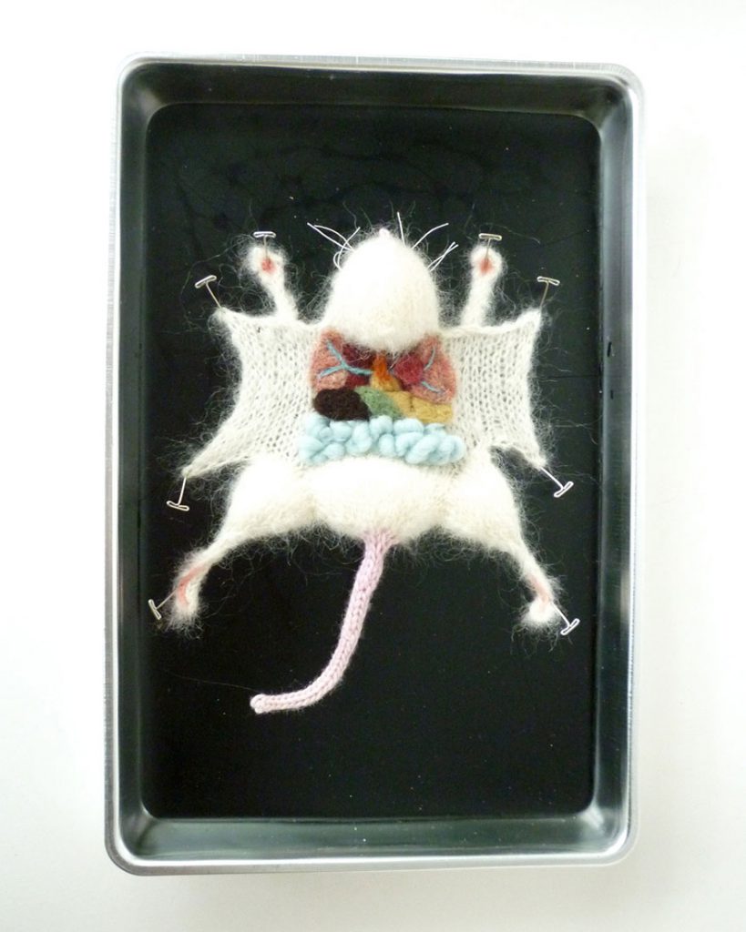 Now You Can Learn Anatomy From Dissected Knitted Creatures! | artFido