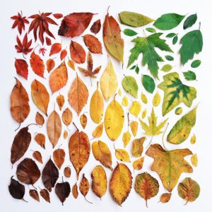 Visually Beautiful Arrangements of Everyday Objects by Emily Blincoe ...