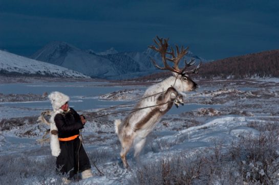 The Reindeer Riders: Amazing Photography of the Reindeer People From ...