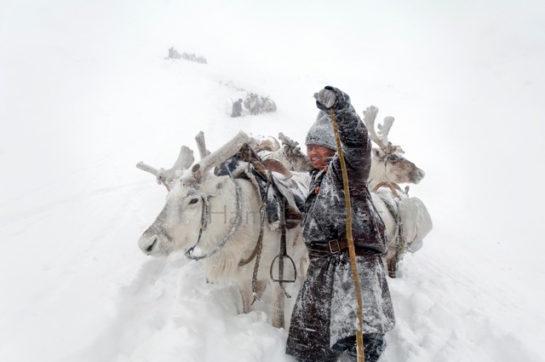 The Reindeer Riders: Amazing Photography of the Reindeer People From ...