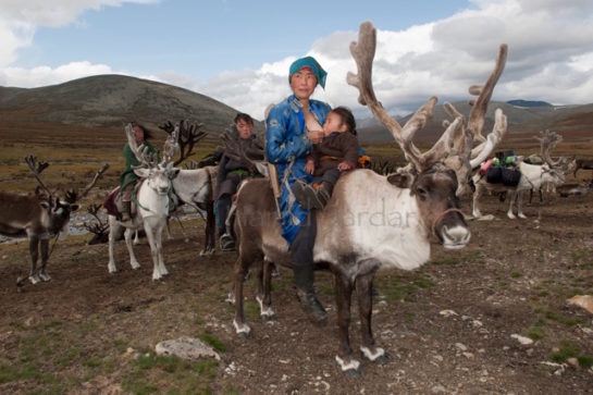 The Reindeer Riders: Amazing Photography of the Reindeer People From ...