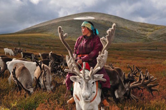 The Reindeer Riders: Amazing Photography of the Reindeer People From ...