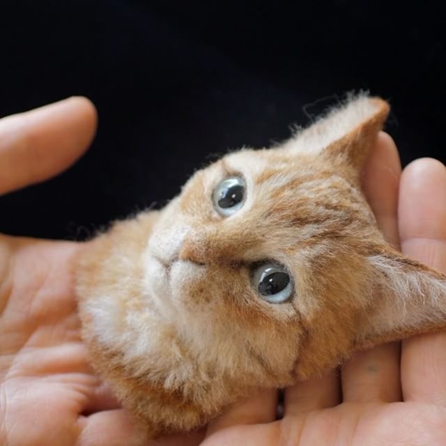 Artist Creates Hyper Realistic Cats Hand Felted Cats Out Of Wool | artFido