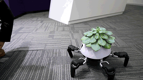 Inventor Creates Robotic “Smart” Planter That Chases the Sun to Keep ...