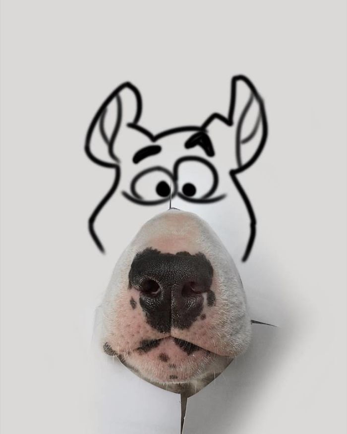 His Wife Left Him & Took Everything Except His Dog So He Created This ...