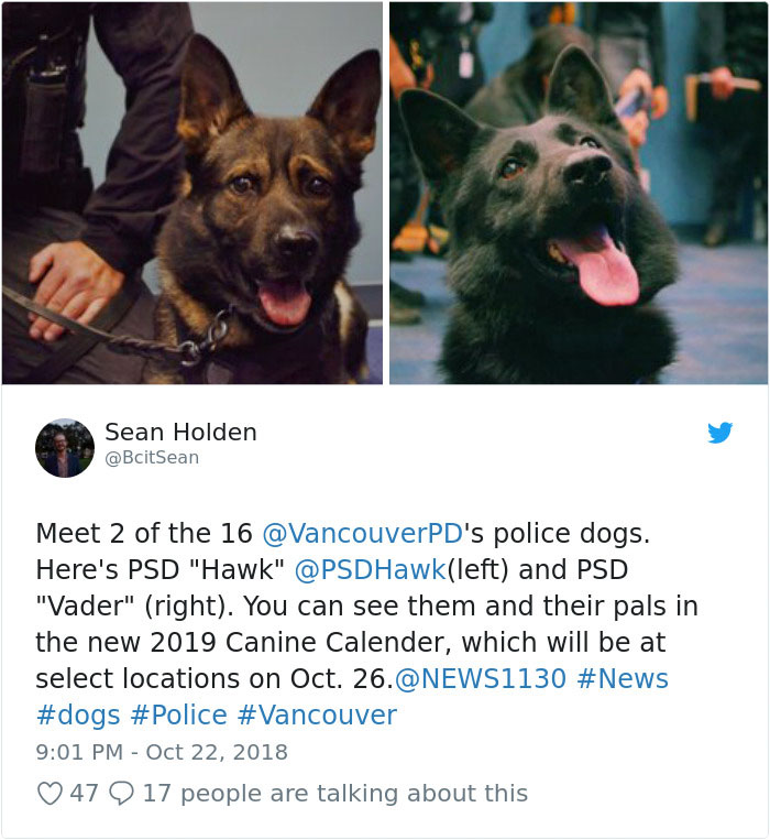 The Vancouver Police Canine Unit Just Released Their 2019 Charity ...