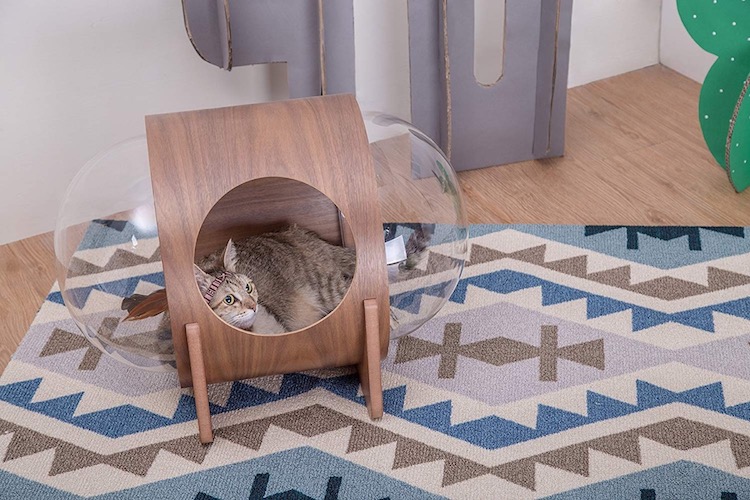 These Spaceship Inspired Cat Beds Are Out of This World | artFido