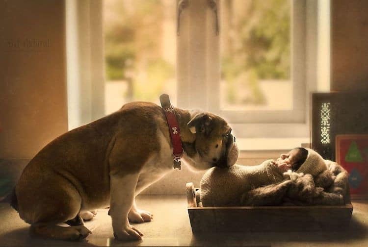 Beautiful Portraits of Newborn Babies Snuggling With Baby Animals | artFido