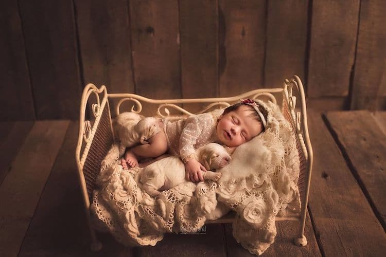 Beautiful Portraits of Newborn Babies Snuggling With Baby Animals | artFido