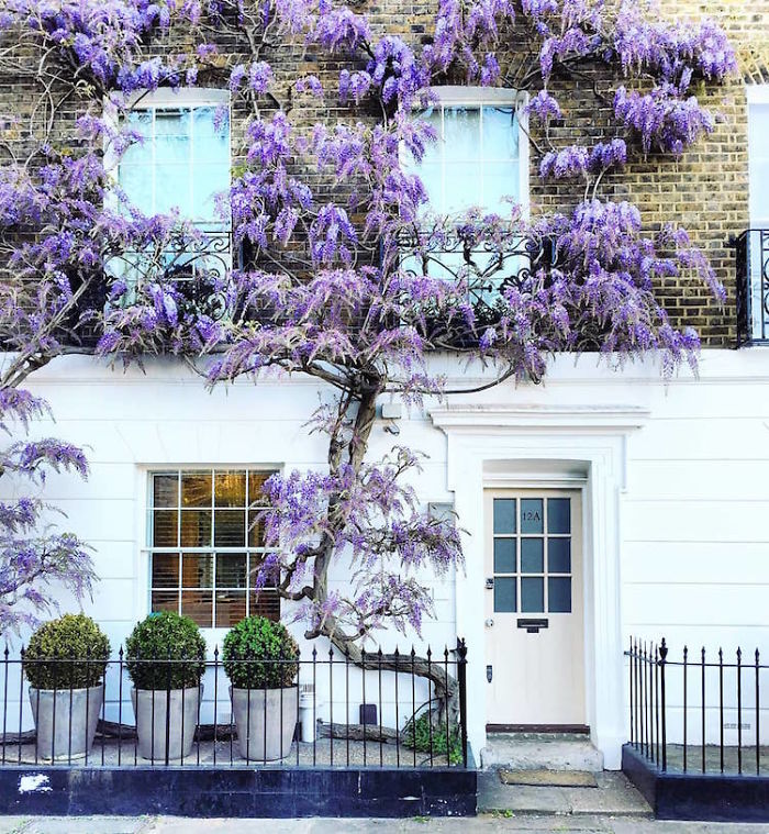 Photographer Captures London’s Most Beautiful Front Doors And They Look ...