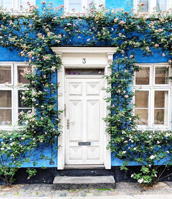 Photographer Captures London’s Most Beautiful Front Doors And They Look ...