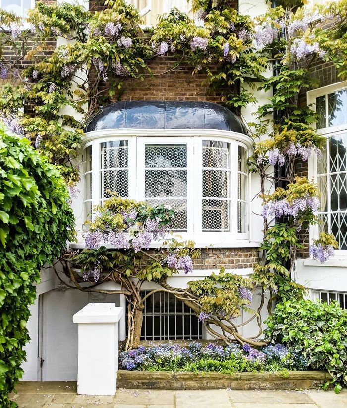Photographer Captures London’s Most Beautiful Front Doors And They Look ...