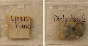 Teacher’s Science Experiment Reveals the Importance of Washing Your ...