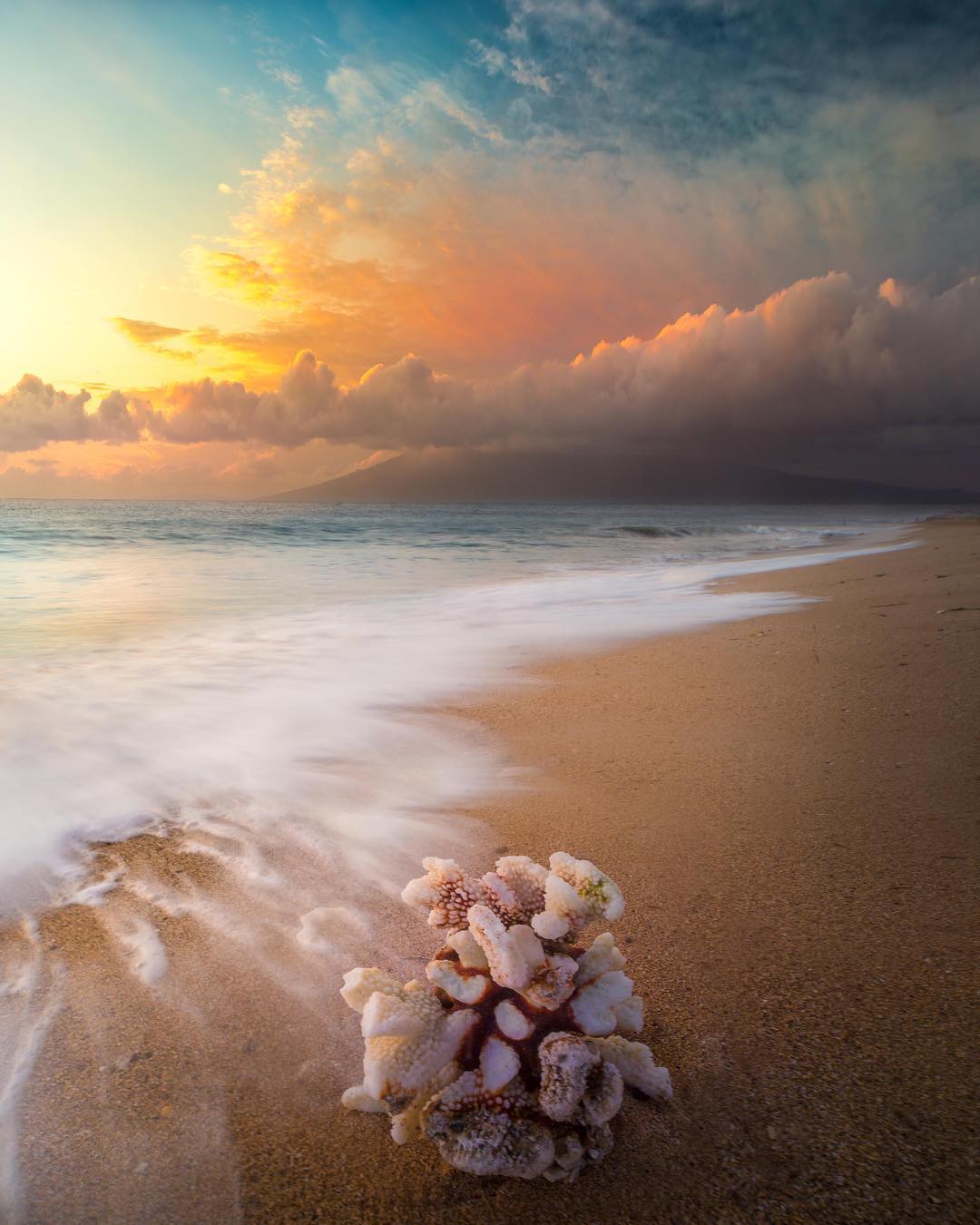 30 Thrilling Instagram Shots That Conquered National Geographic | Gloss